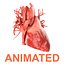 Human Heart Animation 3d Model