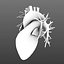 Human Heart Animation 3d Model
