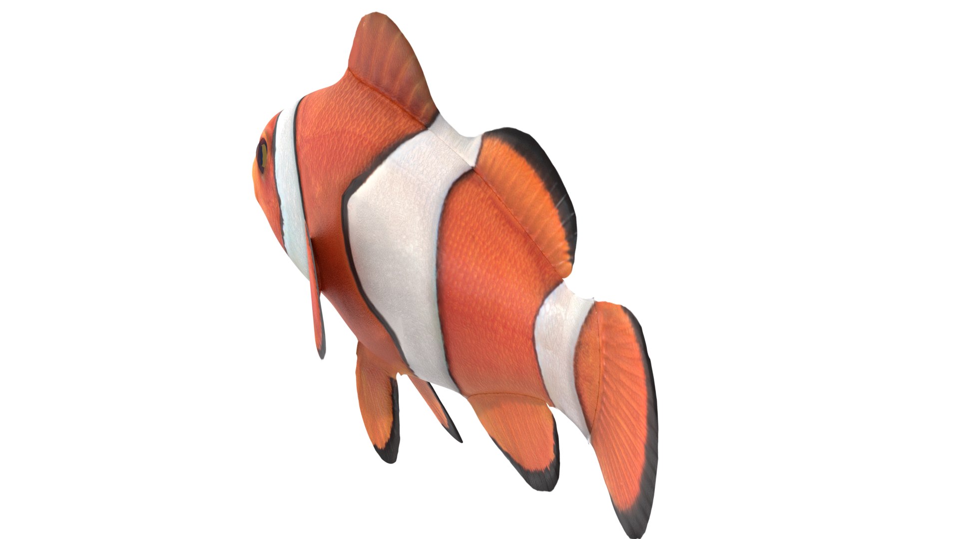 3D Clown Fish - TurboSquid 1611734