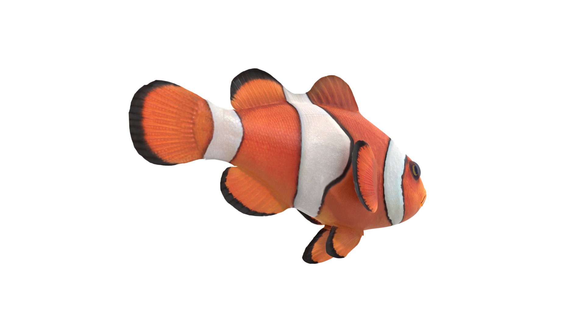 3D Clown Fish - TurboSquid 1611734