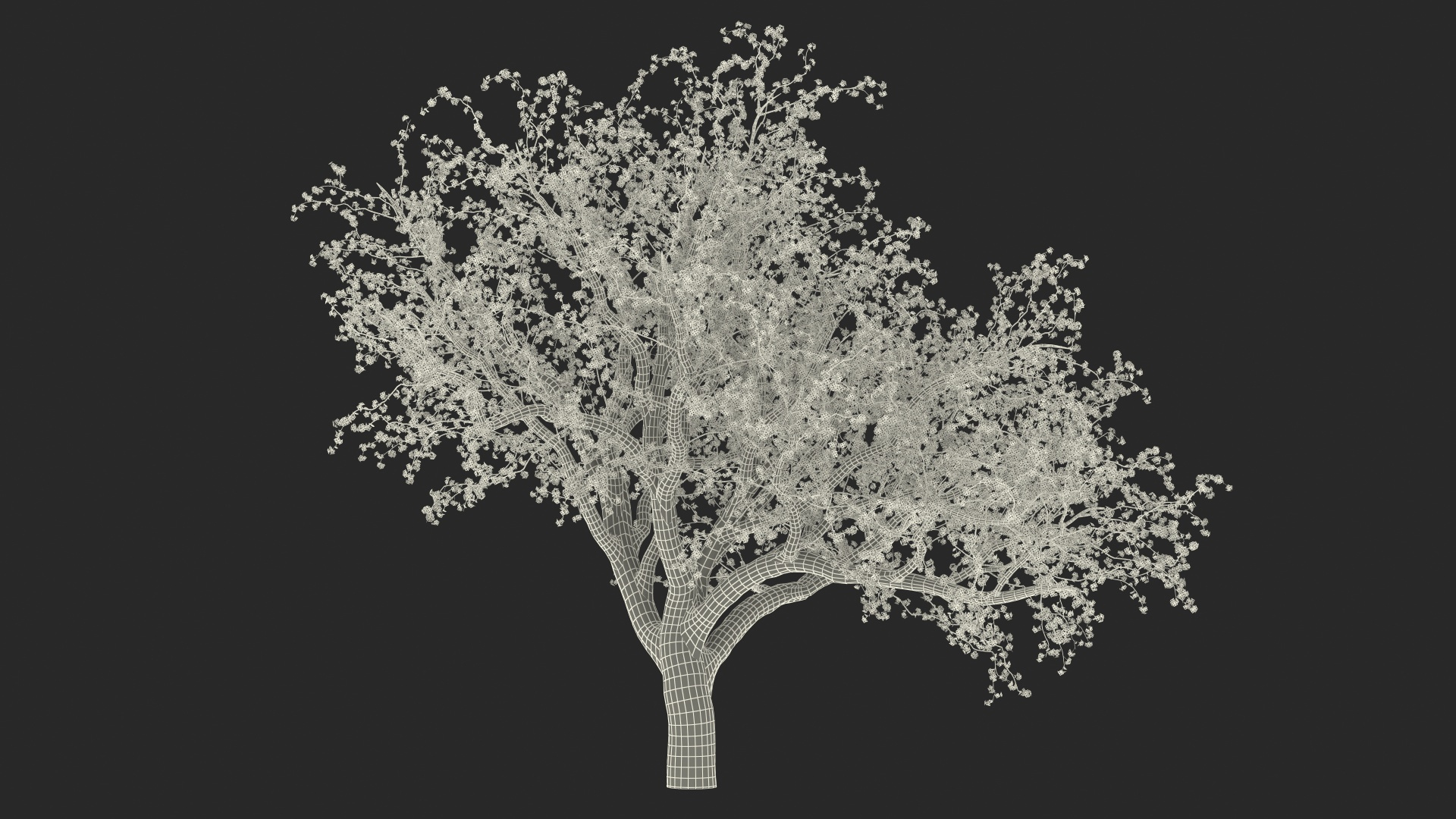 3D Blooming Peach Tree - TurboSquid 1509477