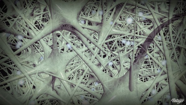 Animated Nerve Cell 3D Models for Download | TurboSquid