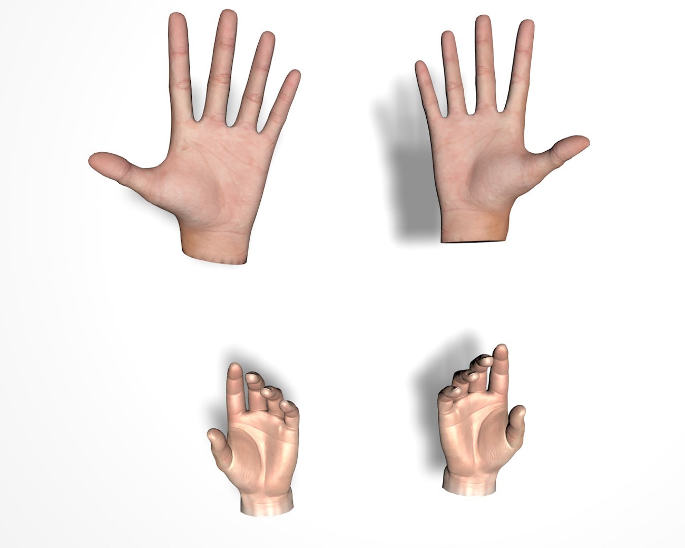 4 Hand Rigged 3D - TurboSquid 1350751