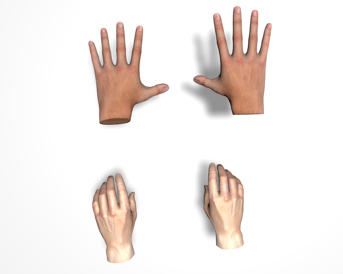 4 Hand Rigged 3D - TurboSquid 1350751