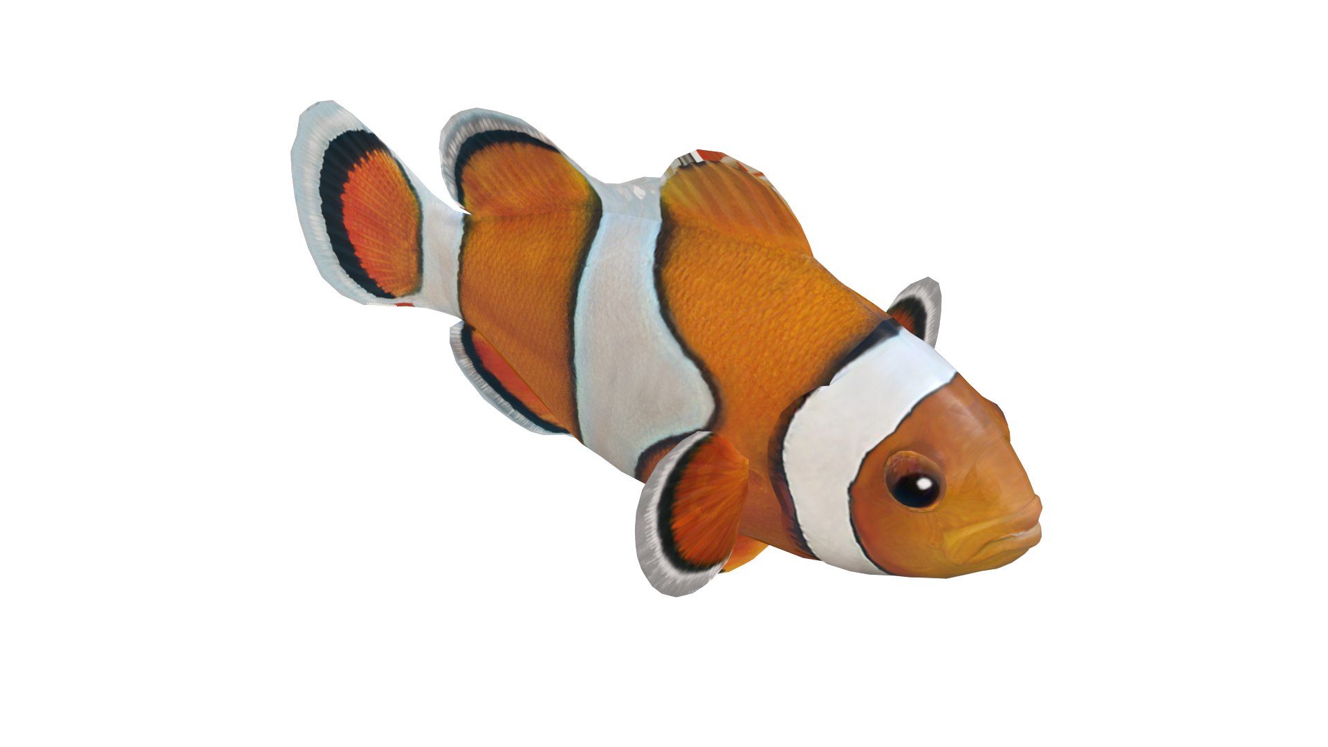 Orange And White Clownfish 3D Model 3D Model - TurboSquid 2313586
