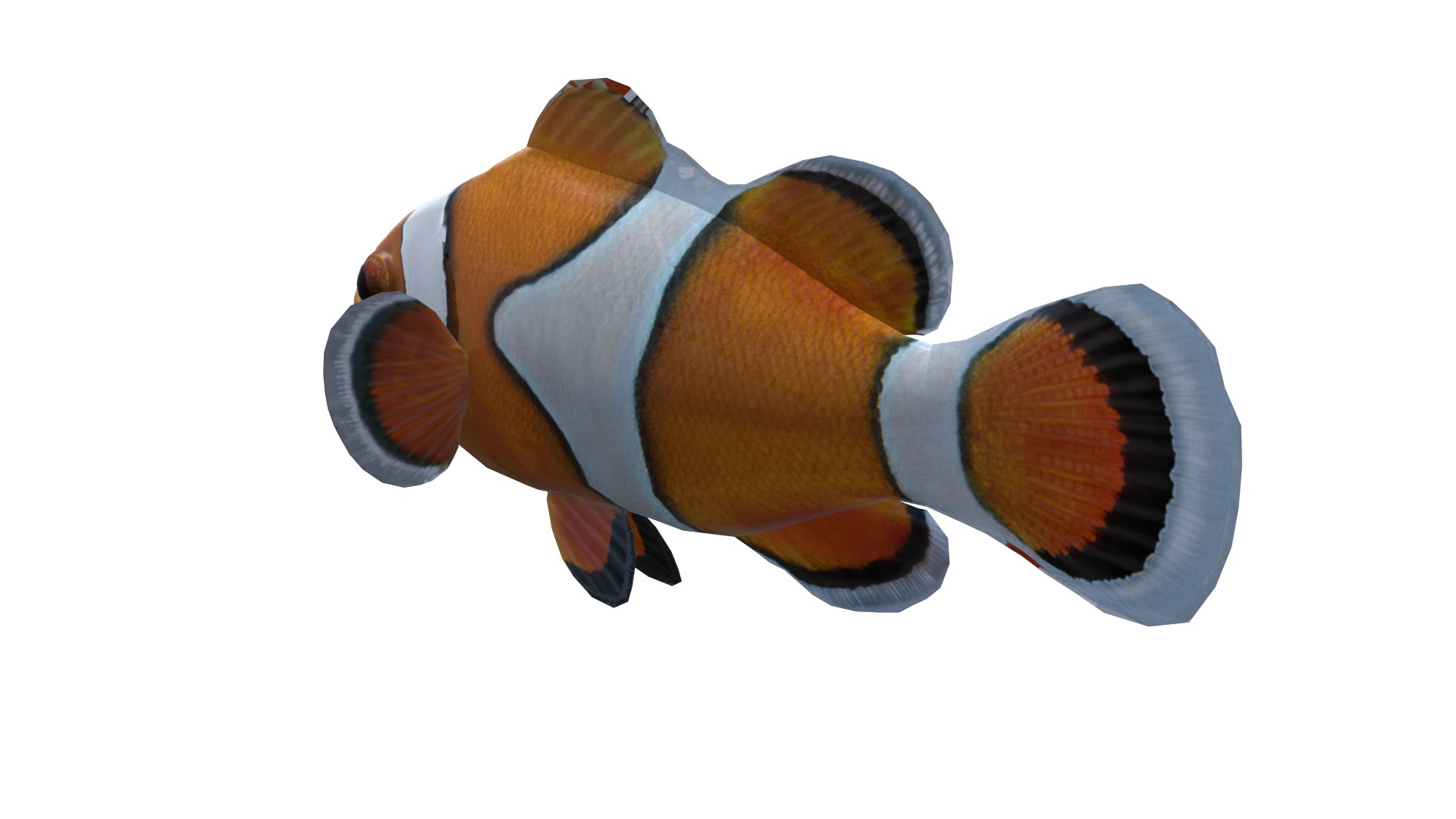 Orange And White Clownfish 3D Model 3D Model - TurboSquid 2313586