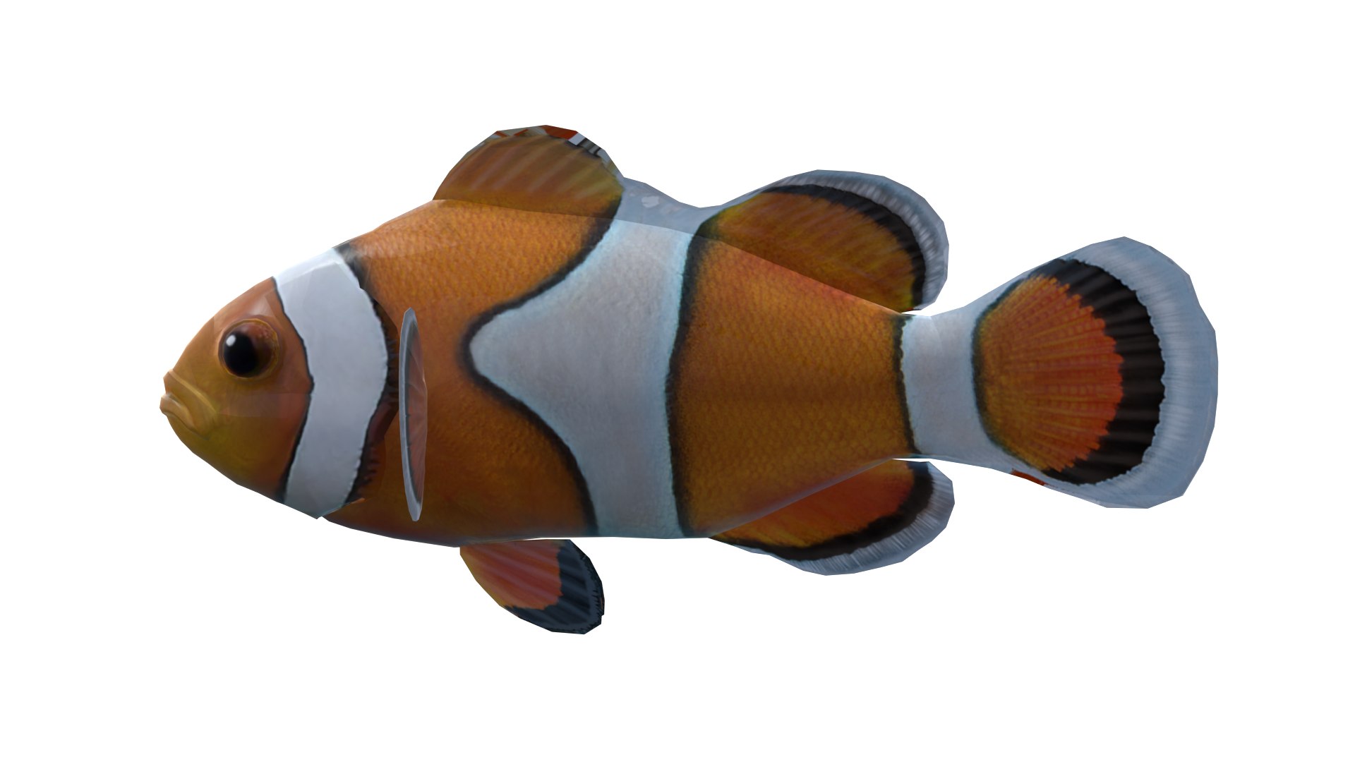 Orange And White Clownfish 3D Model 3D Model - TurboSquid 2313586