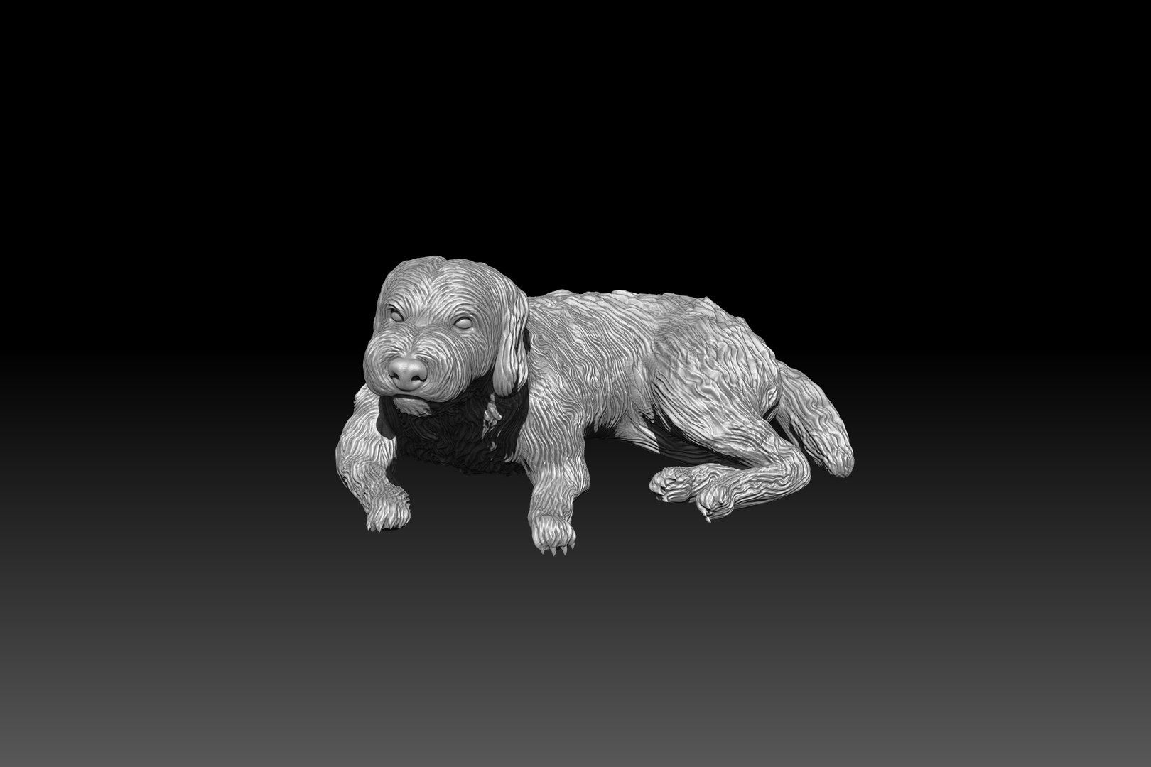 3D Model 3D Printable Labradoodle Dog - TurboSquid 2407702