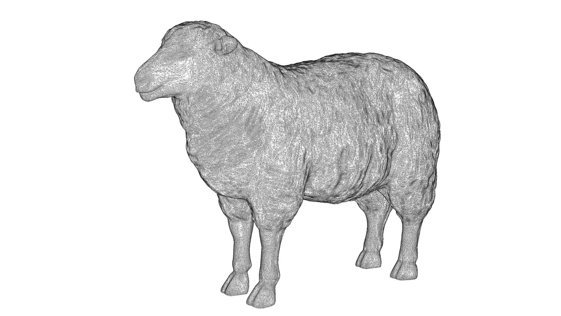 3D Sheep - TurboSquid 2283475