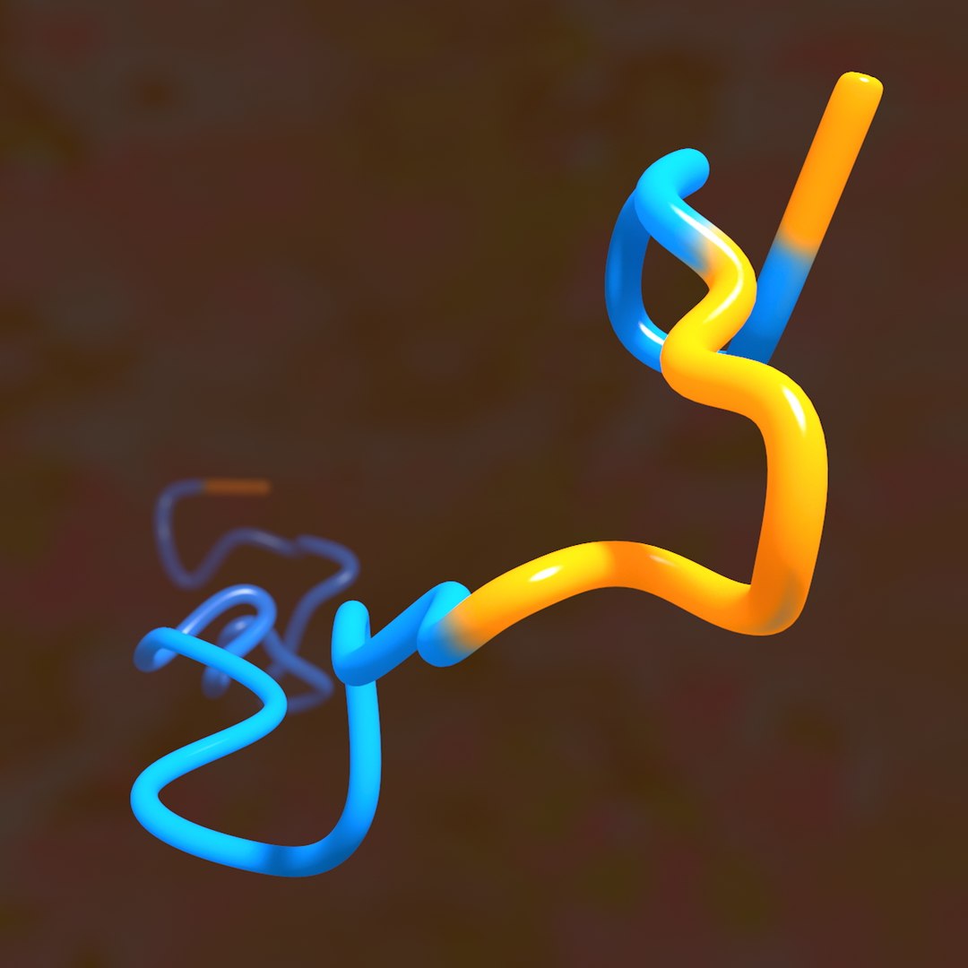 Protein Chain Folded Unfolded 3d Model