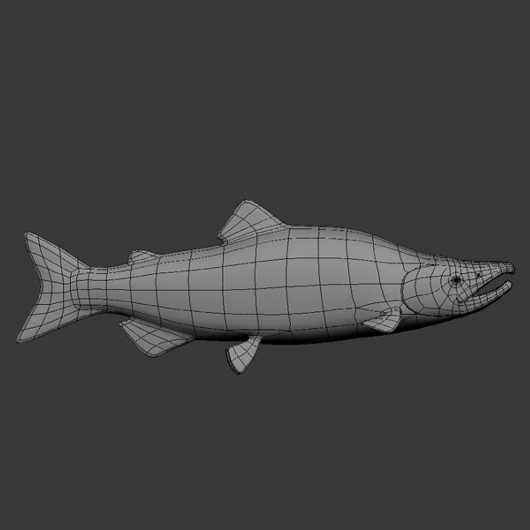 - Salmon 3d Model