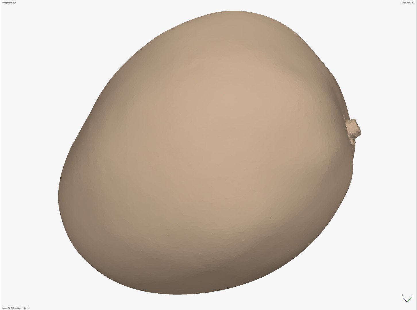 MANGO CROSS-POLARIZED 3D SCAN 16k 8k TEXTURES LOW HIGH POLY FRUIT 3D ...