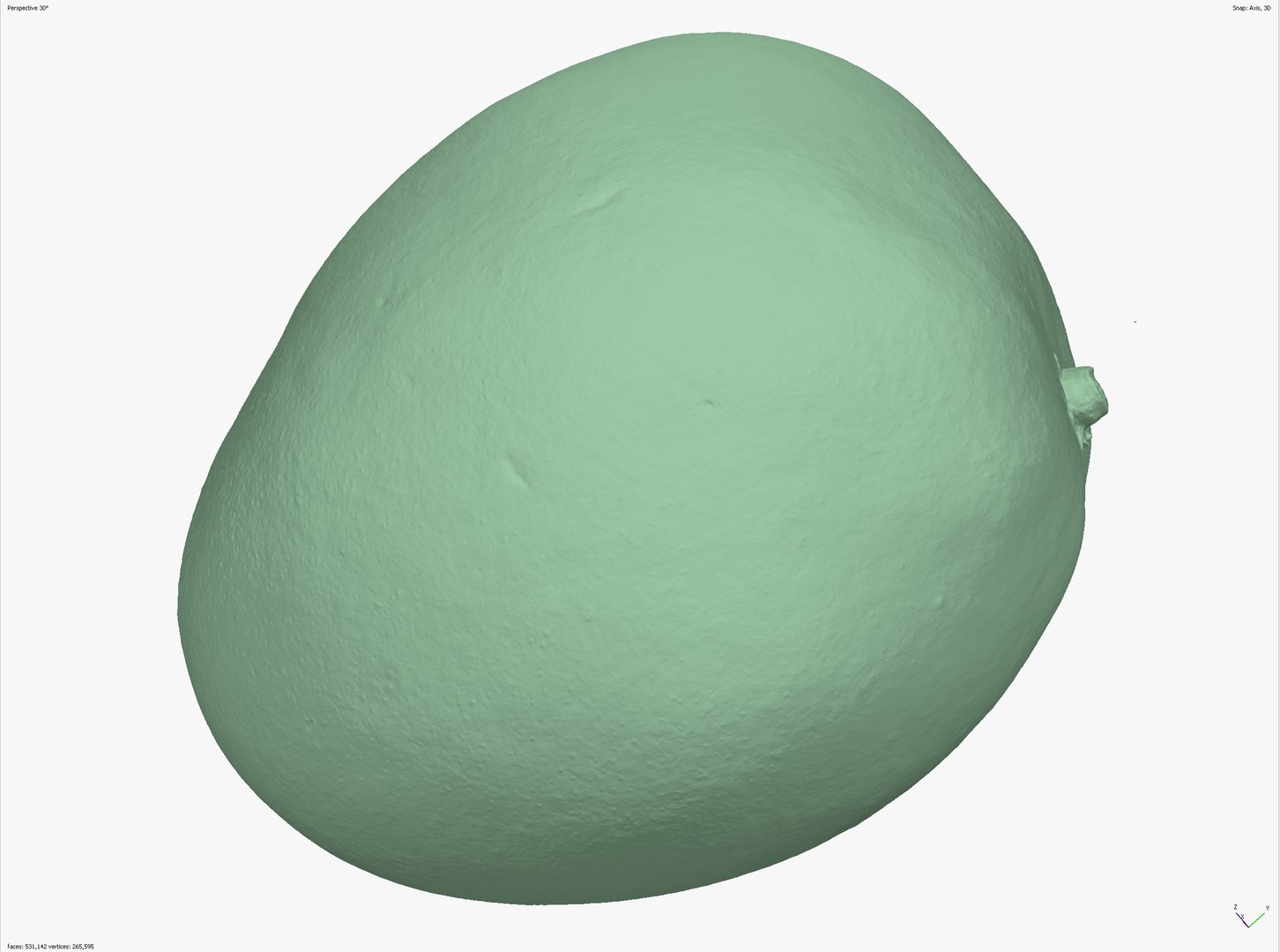 MANGO CROSS-POLARIZED 3D SCAN 16k 8k TEXTURES LOW HIGH POLY FRUIT 3D ...