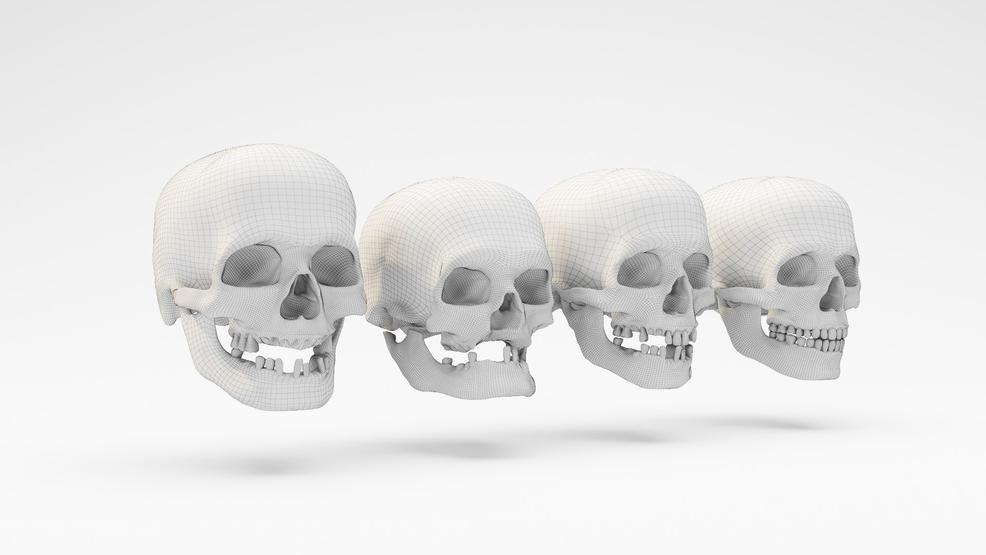 Human Skull Set 3D - TurboSquid 1662752
