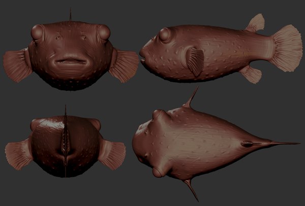 Puffer Fish 3D Models for Download | TurboSquid