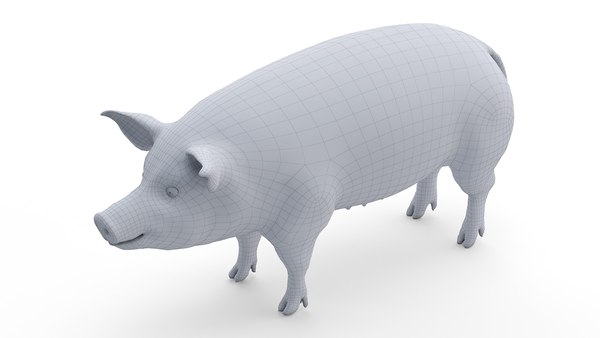 Pig Body Skeleton and Lymphatic System Static 3D model - TurboSquid 1763073