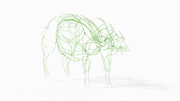 Pig Body Skeleton and Lymphatic System Static 3D model - TurboSquid 1763073