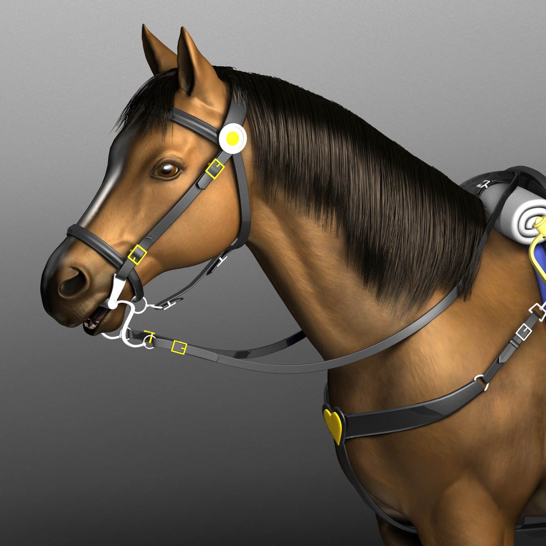 Civil War Horse Saddle 3d Model