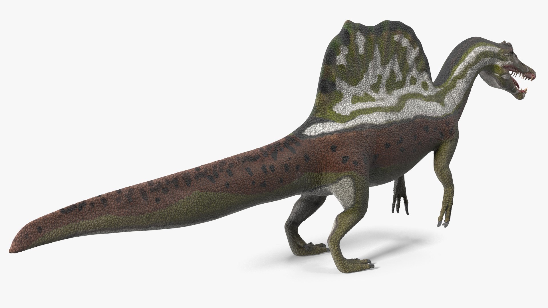 Spinosaurus Dinosaur Green Basic Pose Model - TurboSquid 2265674