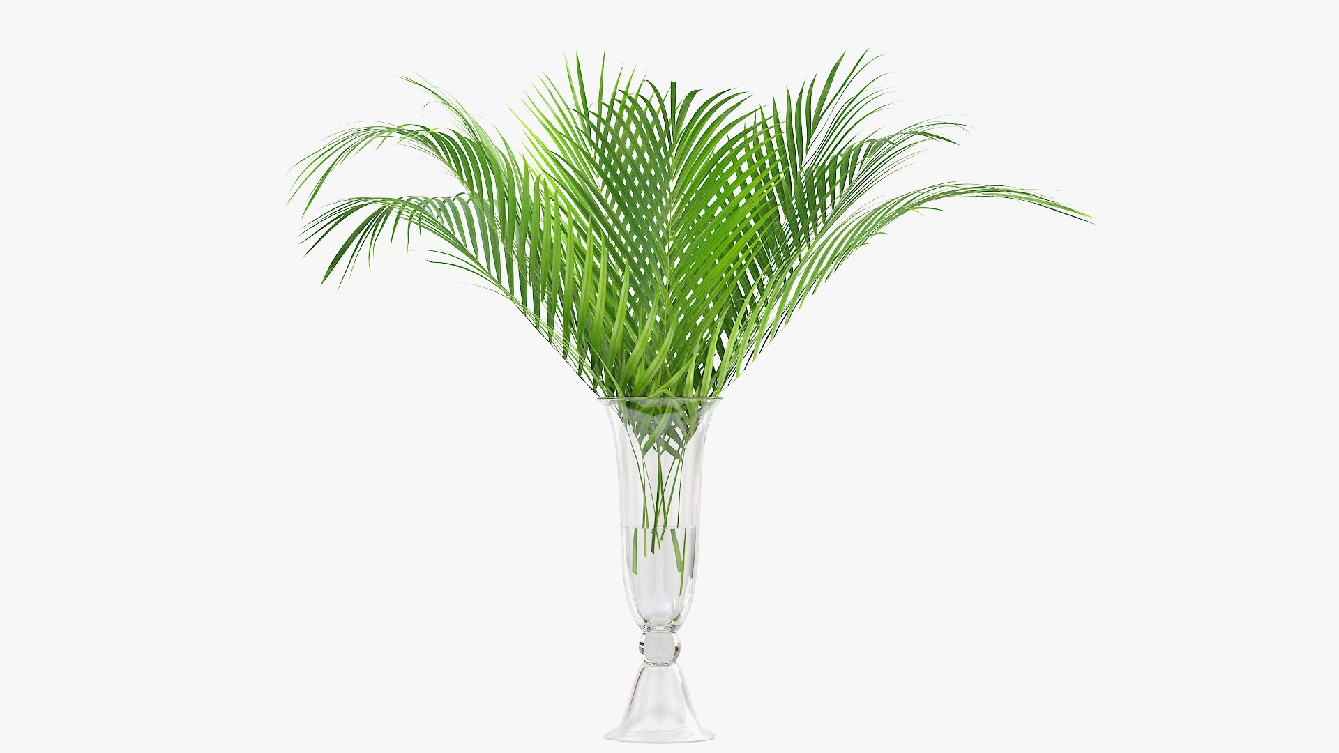 3D Palm Leaves Model - TurboSquid 1537605