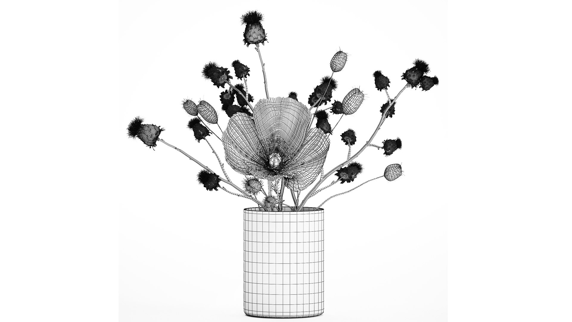 3D Bouquet Of White Wild Flowers Poppy Thistle Thorn 452 Model ...