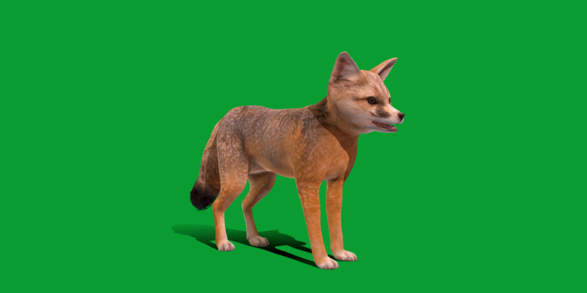 3D Kit Fox - TurboSquid 2322194