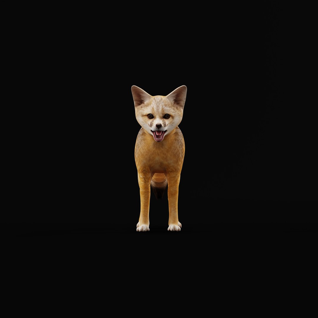 3D Kit Fox - TurboSquid 2322194