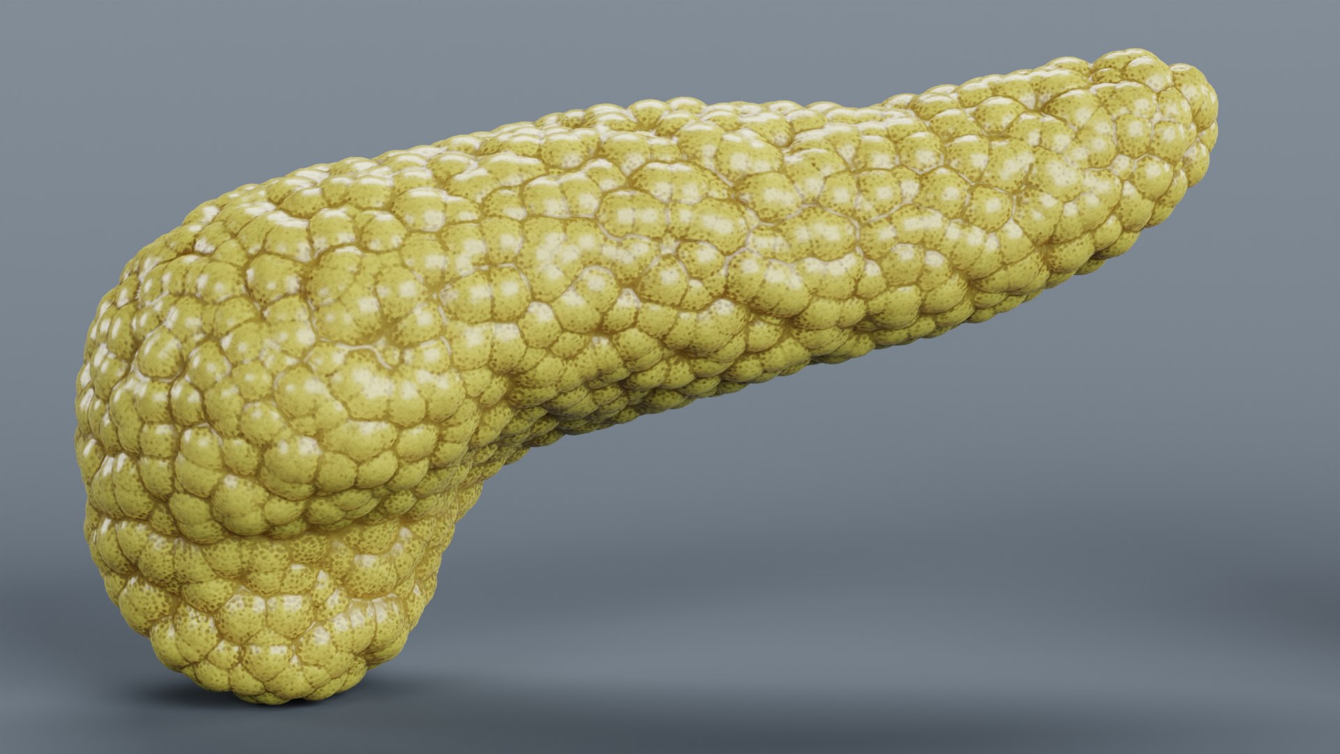 3D Model Pancreas Set - TurboSquid 1758985