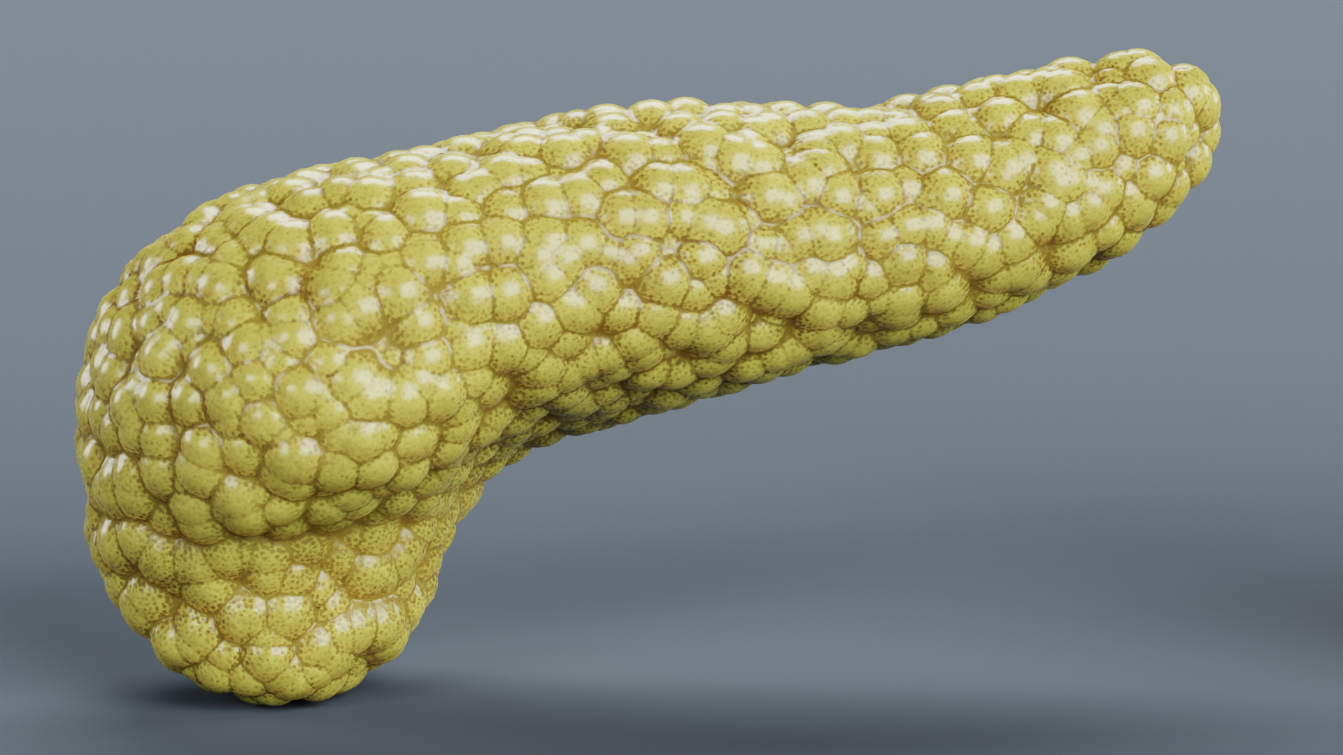 3D model Pancreas Set - TurboSquid 1758985