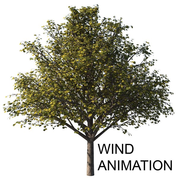 autumn tree animation wind 3d max