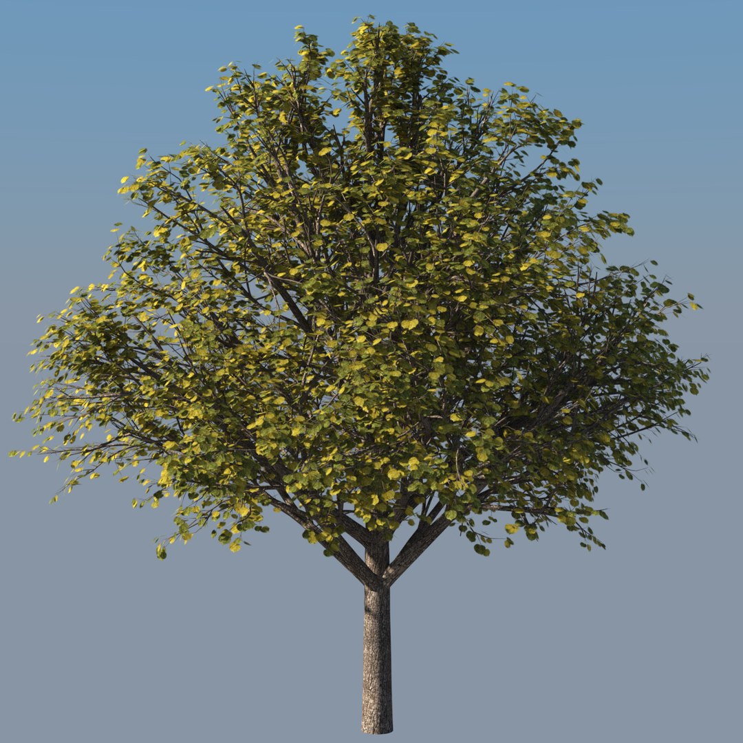 Autumn Tree Animation Wind 3d Max