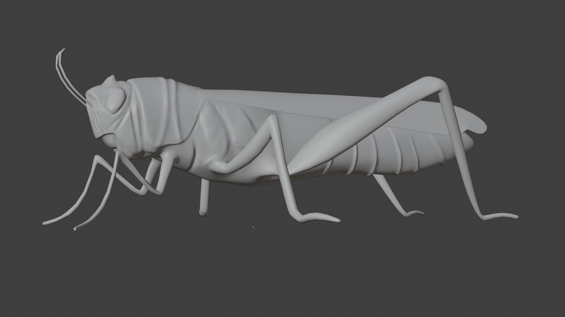 Locust 3D Model - TurboSquid 1683236