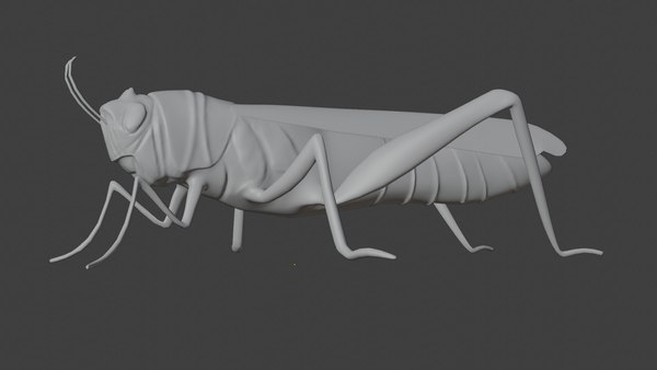Locust 3D model - TurboSquid 1683236