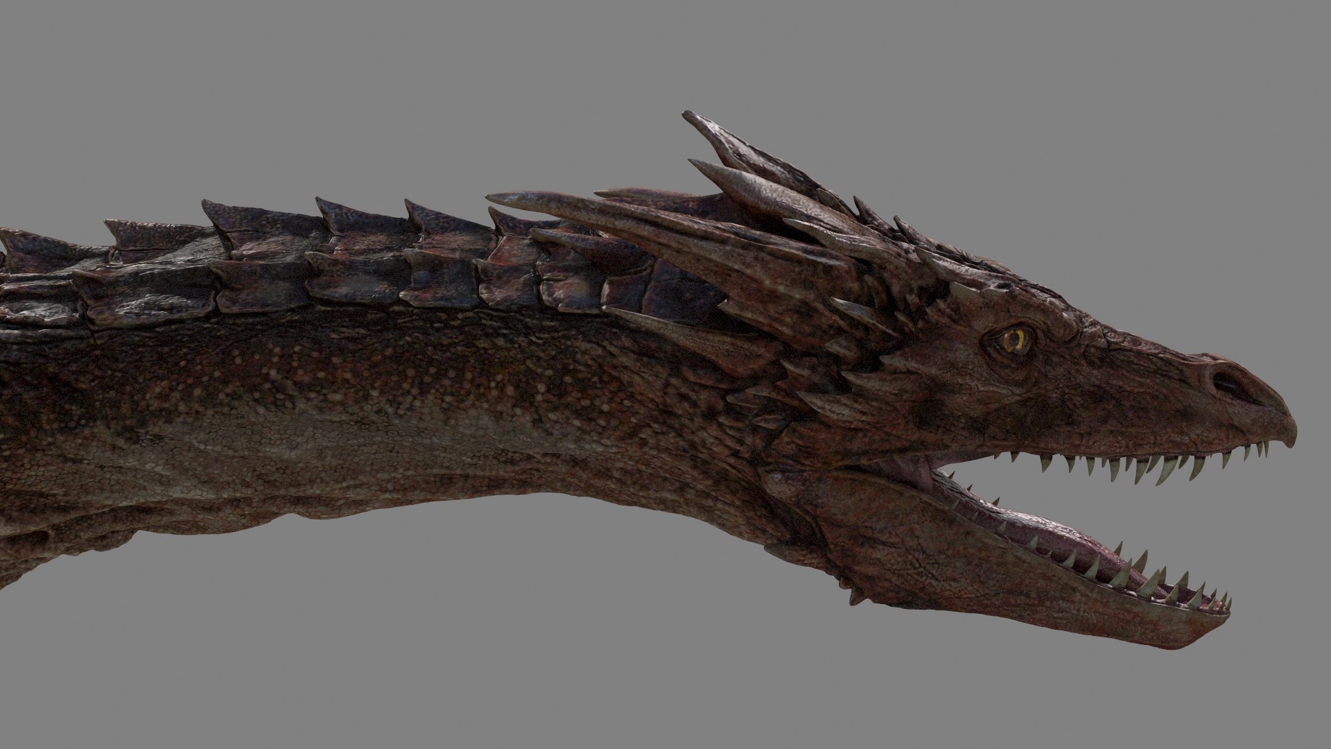 3d Dragon Model