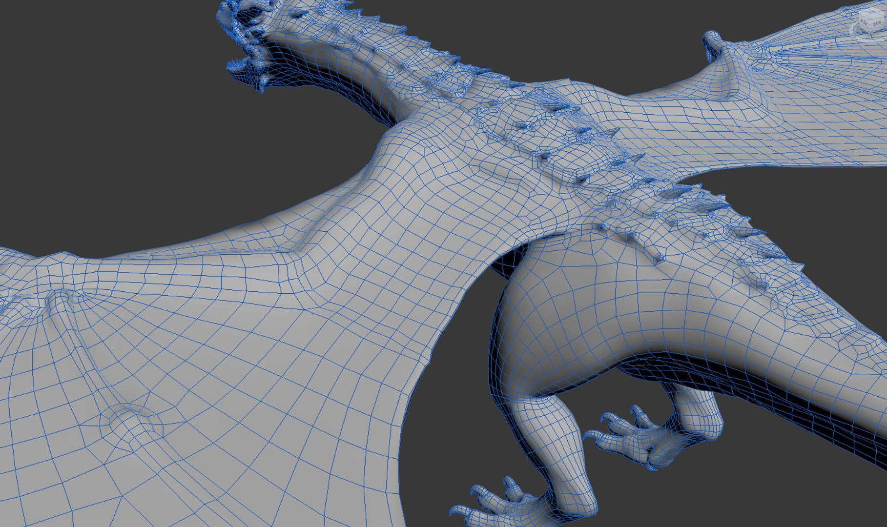 3d Dragon Model