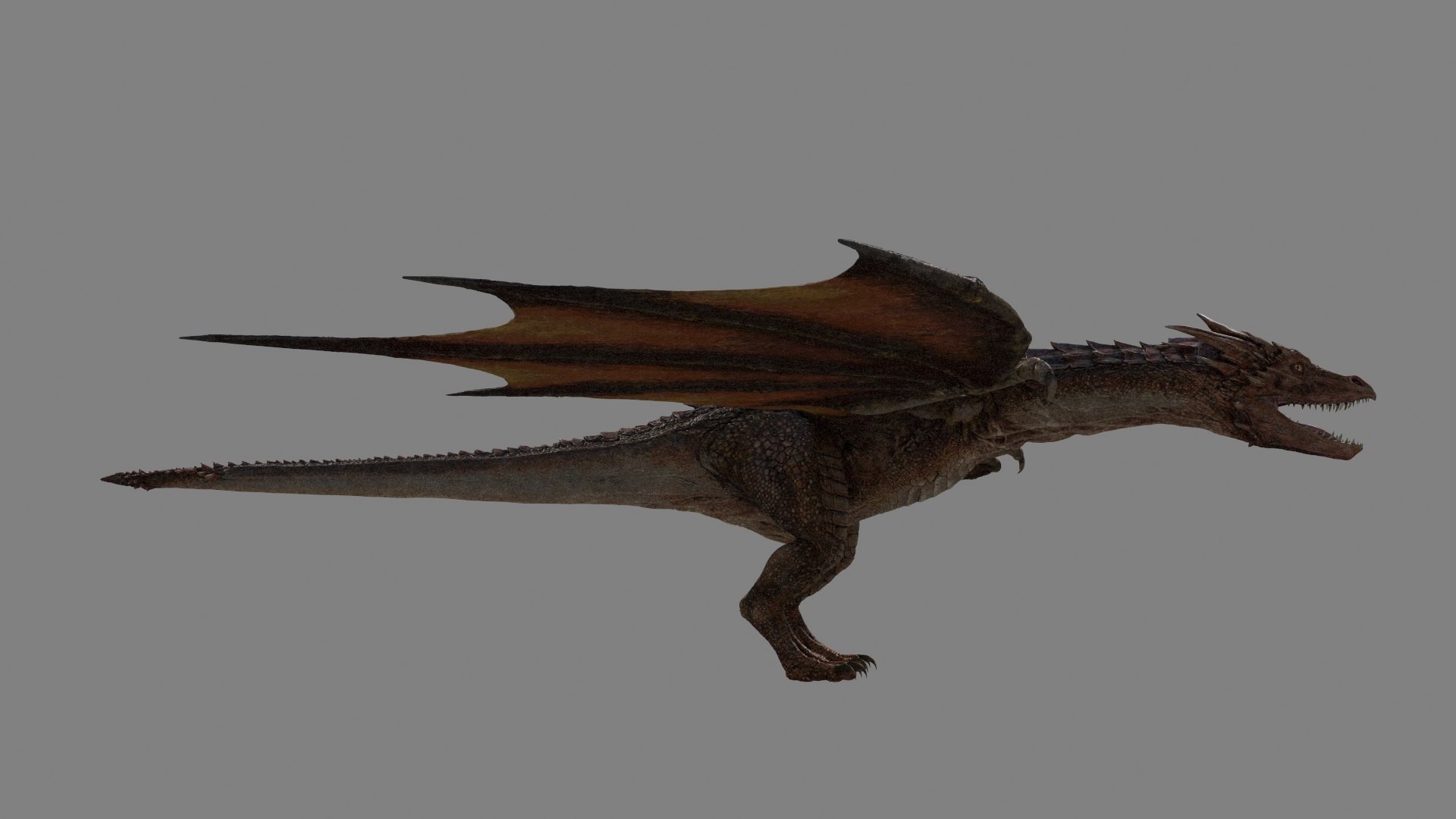 3d Dragon Model