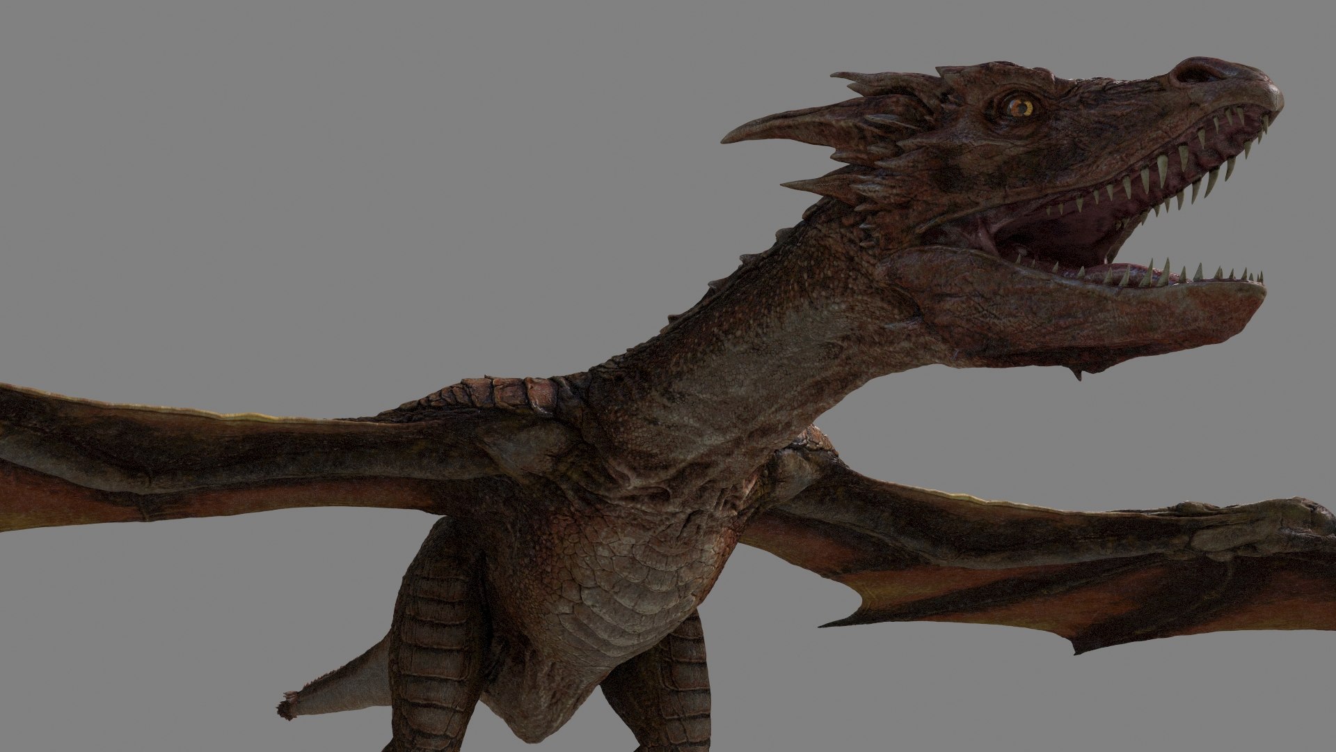 3d Dragon Model