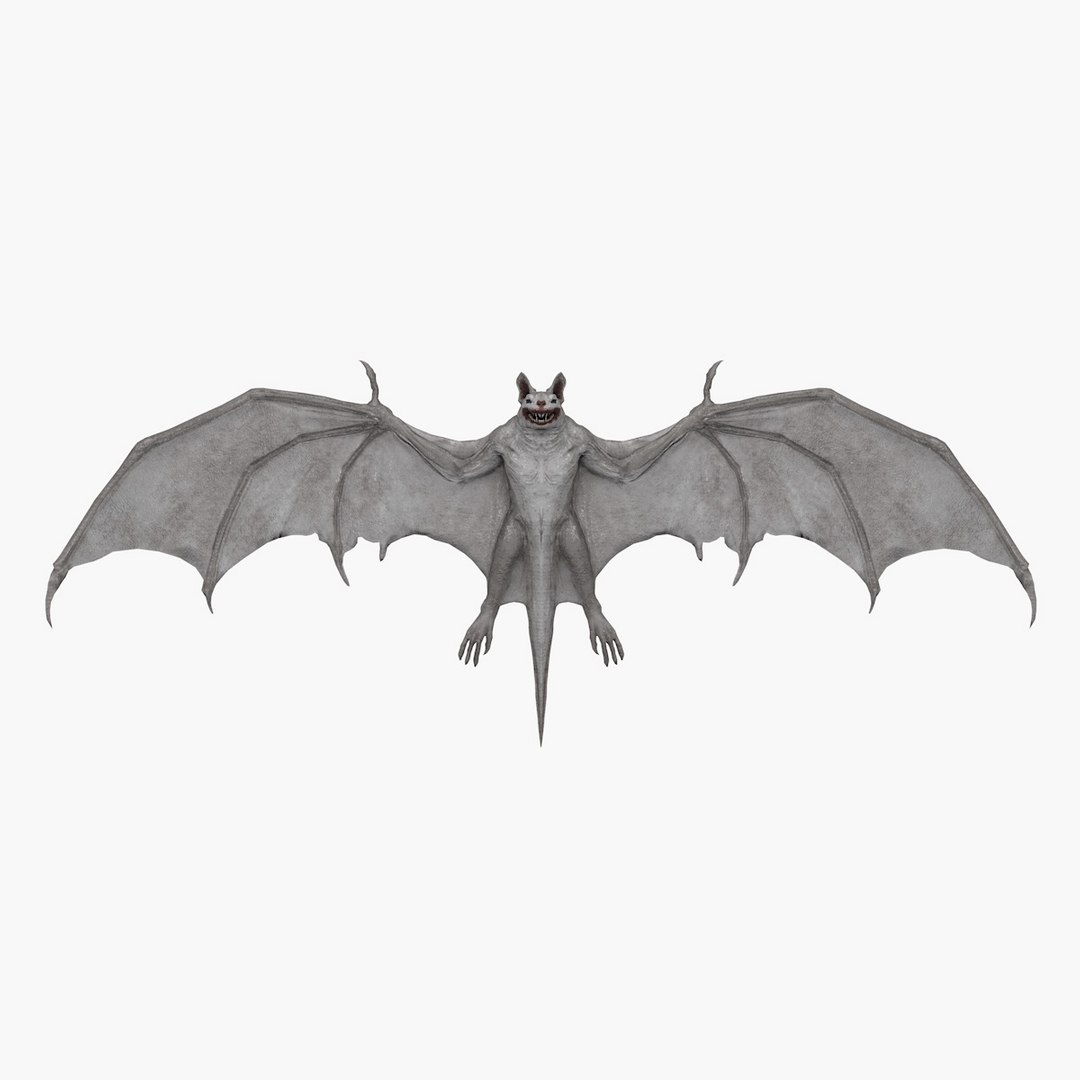 3D Bat model - TurboSquid 1838371