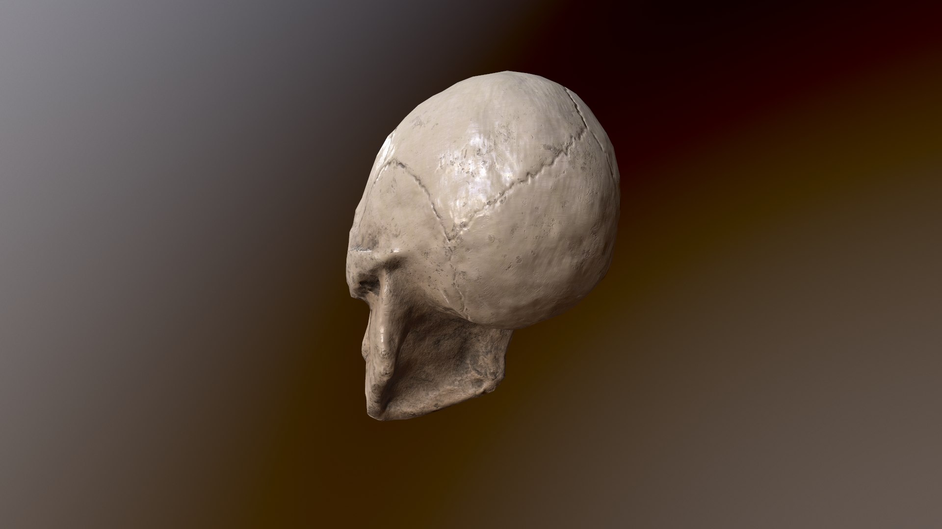 3D model Human Skull Low Poly 3D model - TurboSquid 2056769
