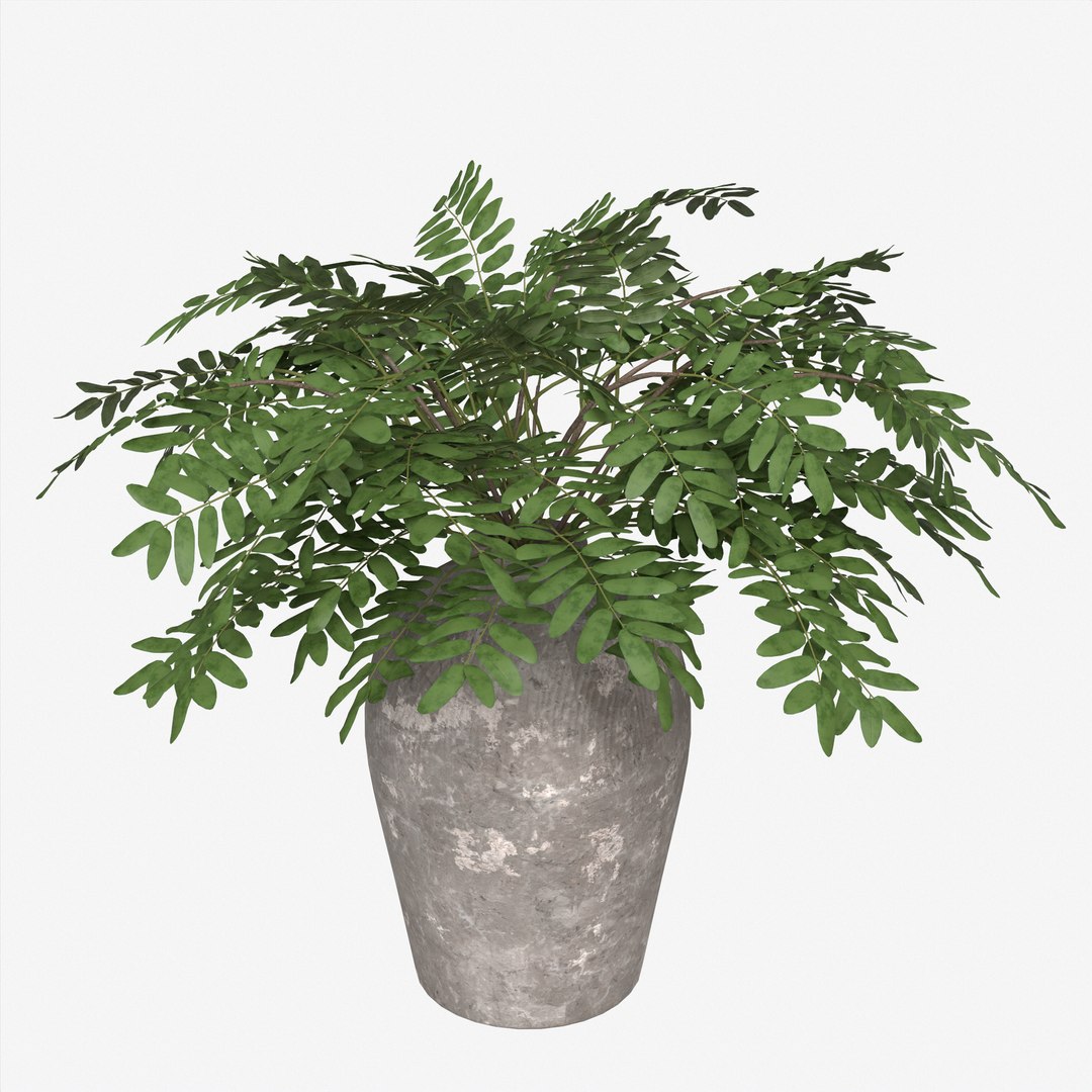 3D Potted Leaf Arrangement Pot - TurboSquid 2094257