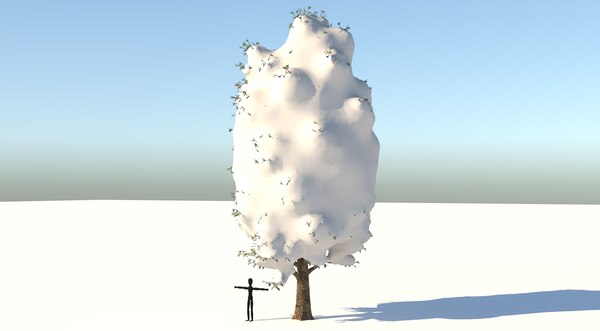 3D poplar tree - TurboSquid 1683455