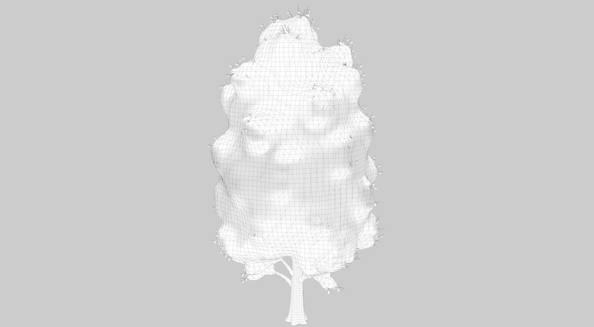 3D poplar tree - TurboSquid 1683455