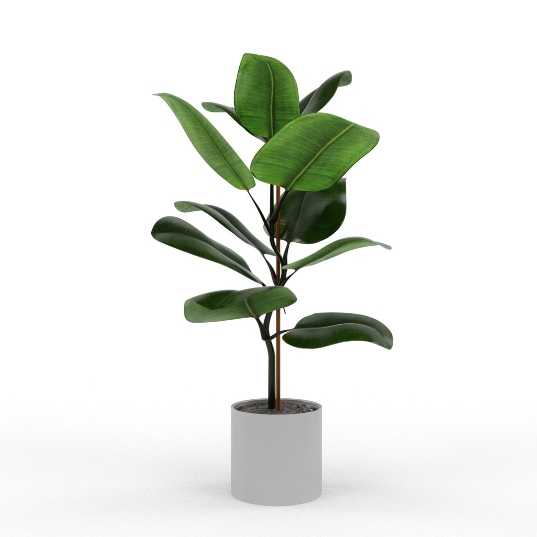 3D plant nature model - TurboSquid 1667618