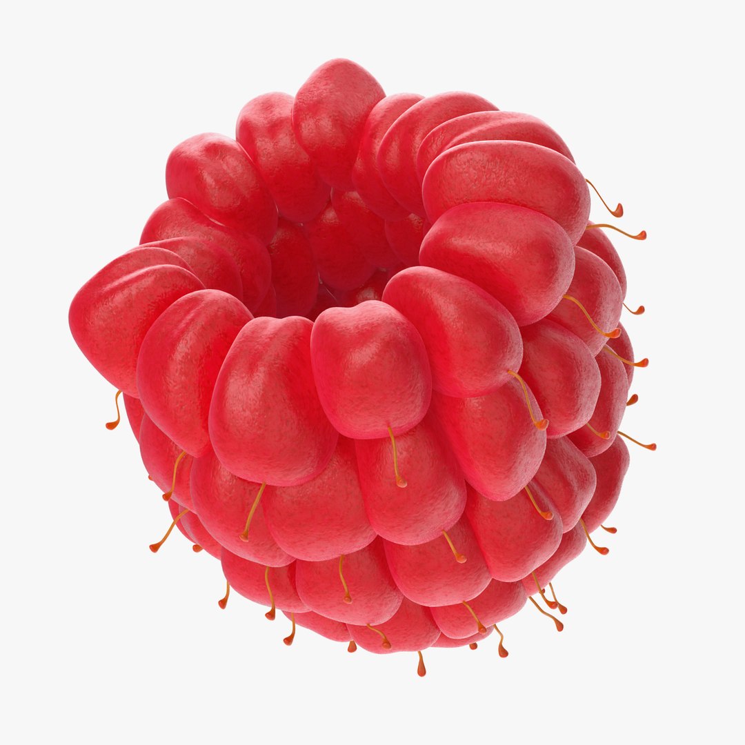 red raspberry modeled 3ds
