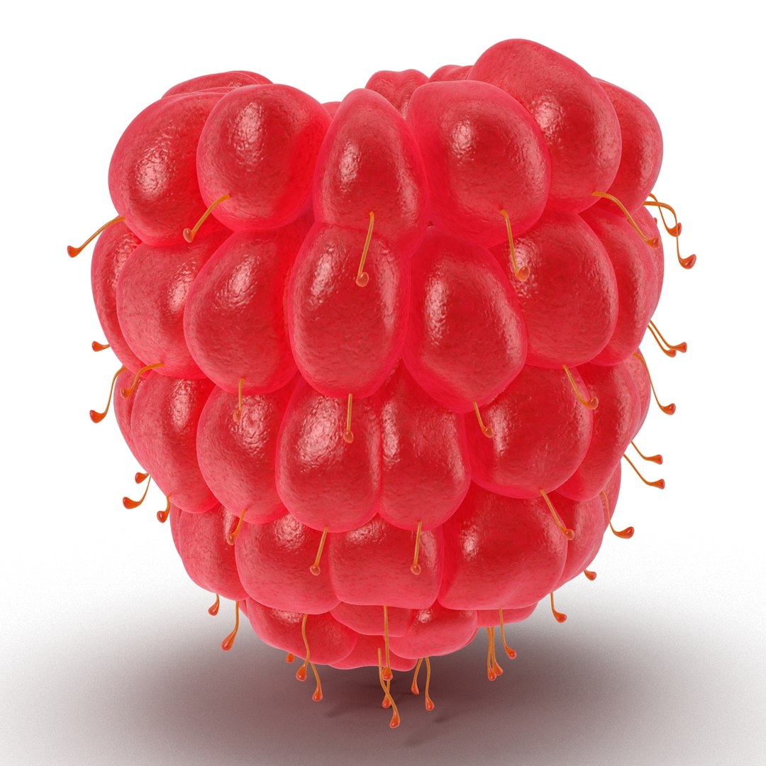 red raspberry modeled 3ds
