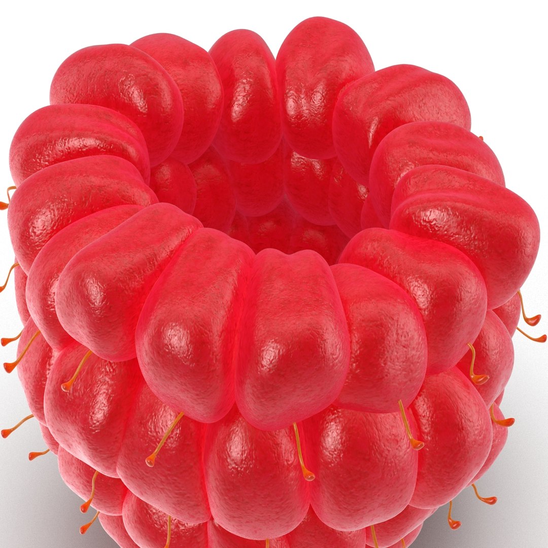 red raspberry modeled 3ds