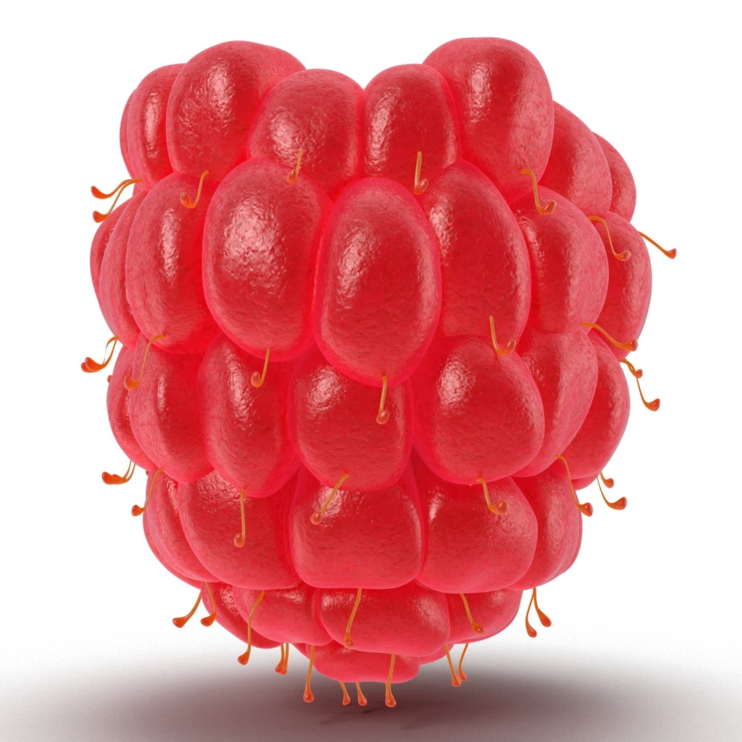 red raspberry modeled 3ds