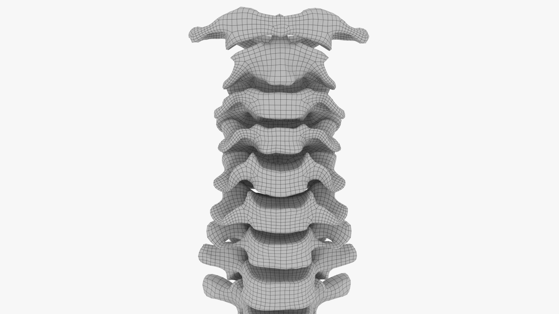Rigged spine vertebra 3D model - TurboSquid 1655787