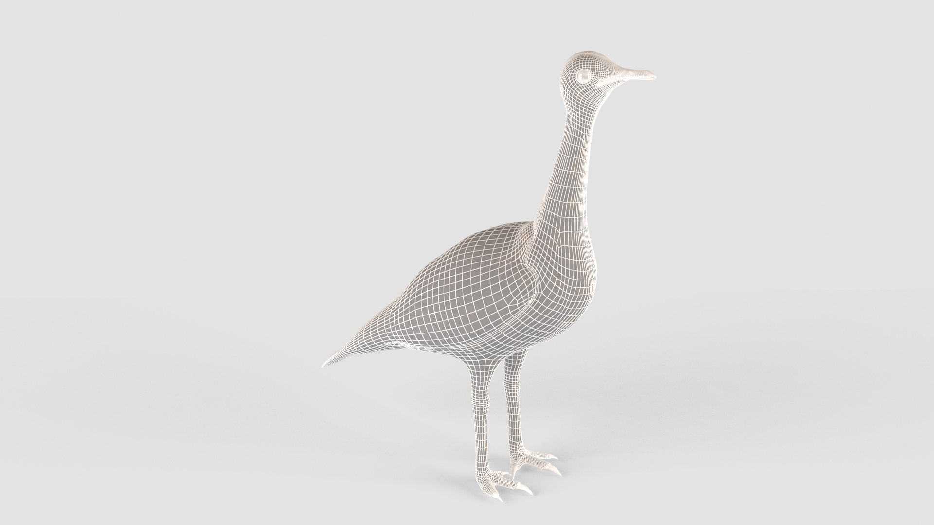 3D Houbara - TurboSquid 1740999
