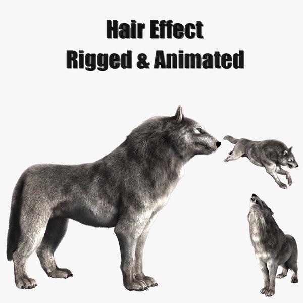 Animated Wolf 3d Models For Download Turbosquid